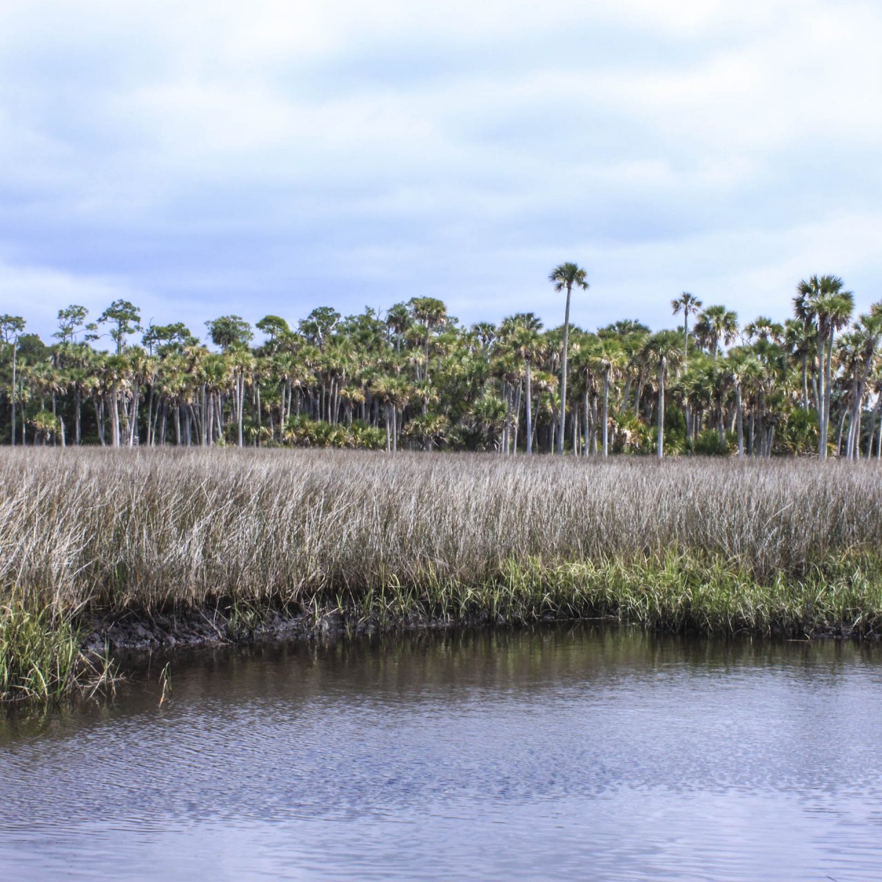 Conservation and Mitigation Banks | Wildlands Conservation