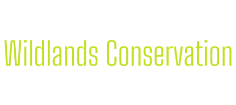 Gopher Tortoise License Plate | Wildlands Conservation