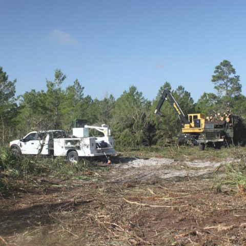 Land Management | Wildlands Conservation